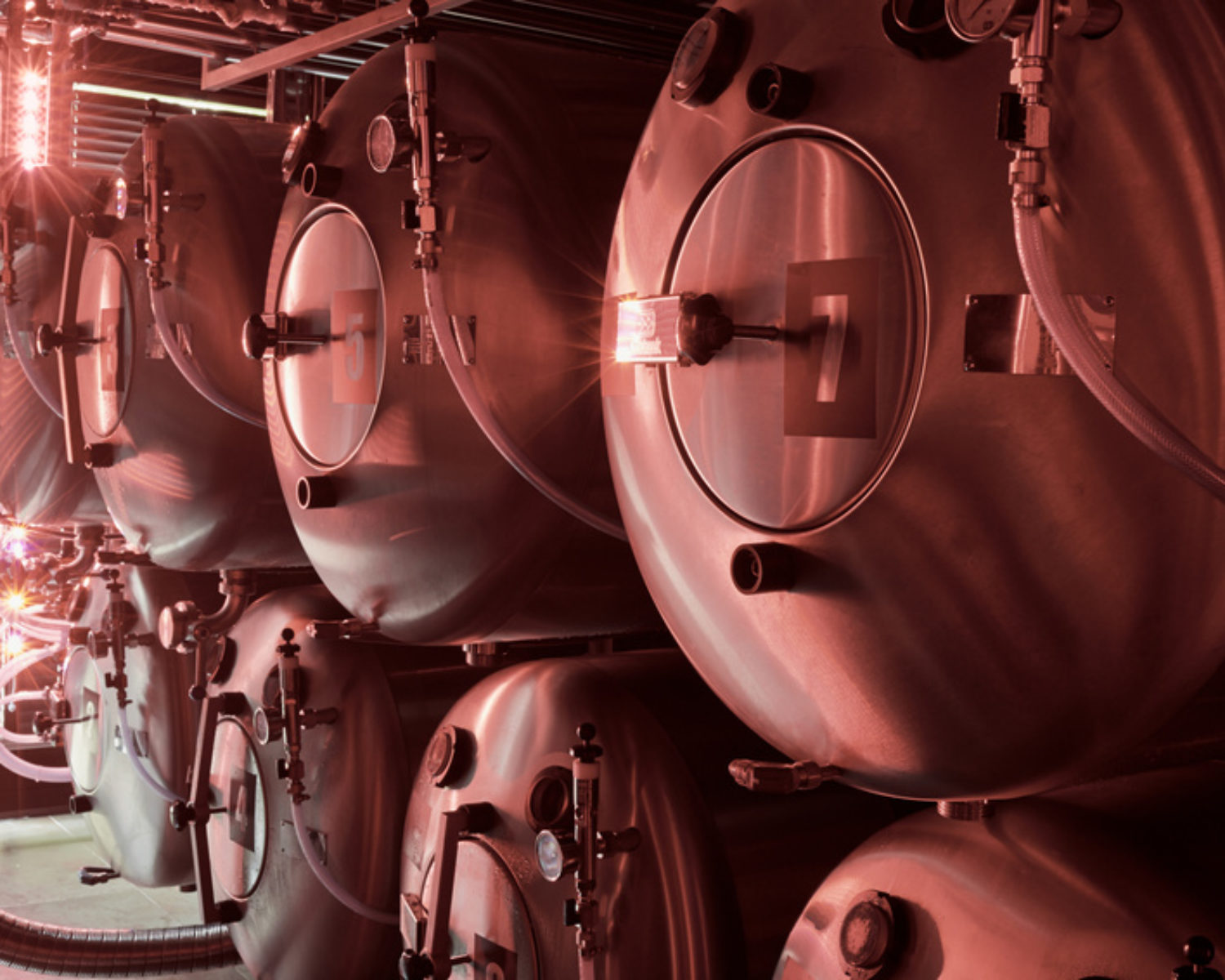 CBS BREW |Customized Brewing Solutions, brewing enzymes, beer flavors ...