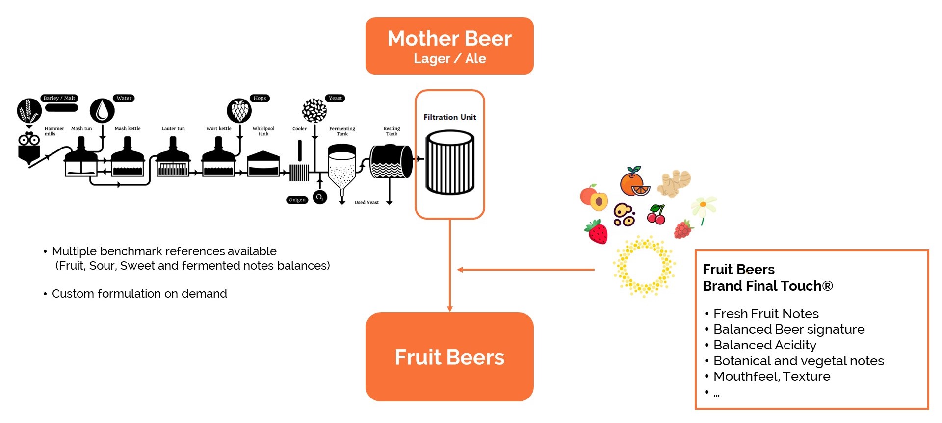 CBS BREW | Fruit Beer Creation | BELGIUM